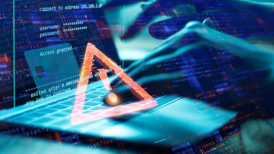 Telecom fraud: how international students are targeted by scammers – KAMI*